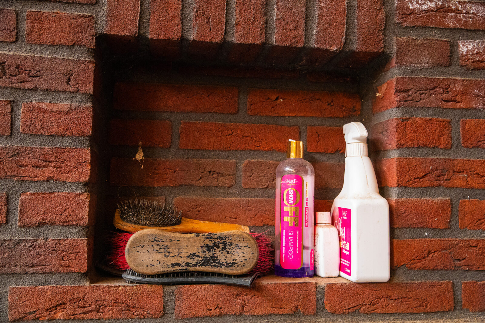 Your Guide to Drug & Substance Use for FEI Competing Horses ...