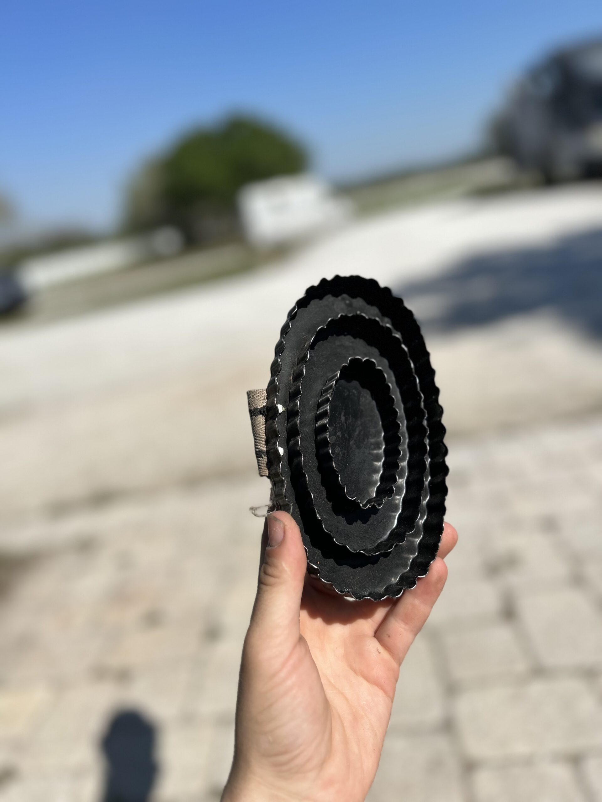 Let's Talk Sebum - horsegrooms.com