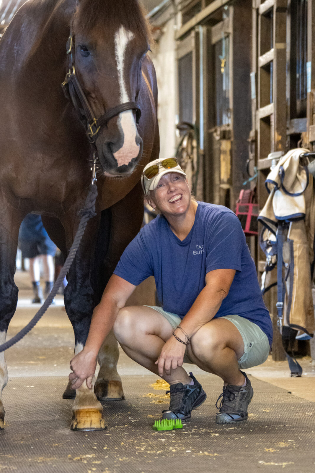 How do you get started as a groom with little experience? - horsegrooms.com