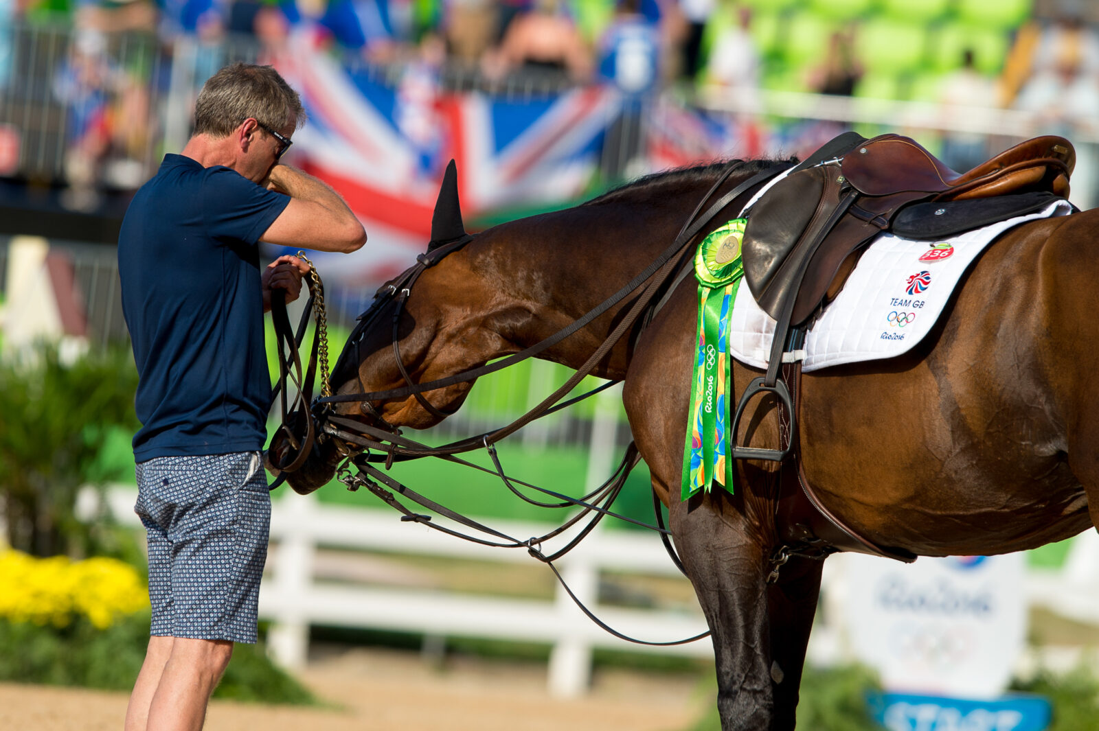 Mark Beever on His Big Star - horsegrooms.com