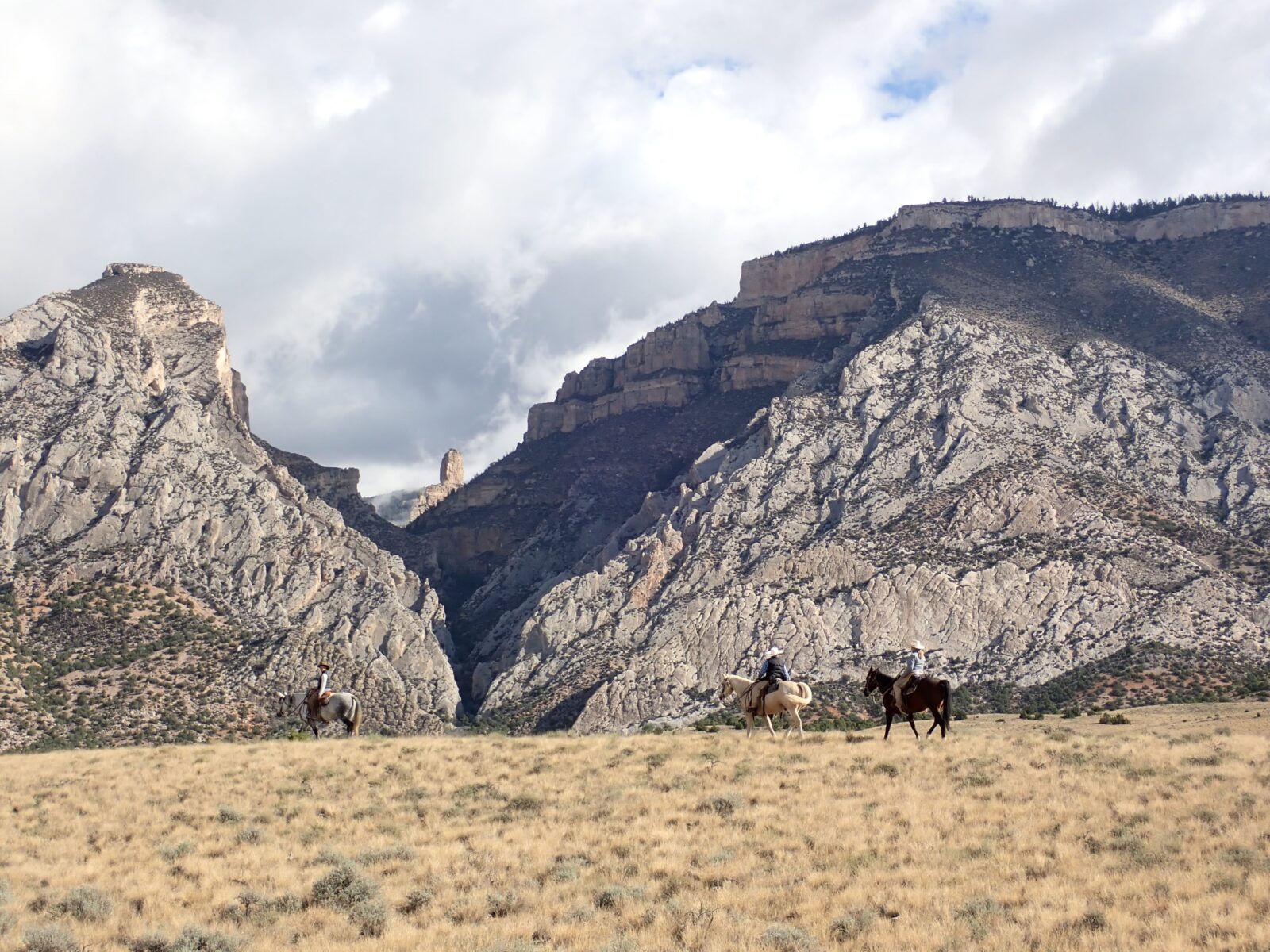 Unexpected Partnership Born in the Mountains & Plains of WY ...