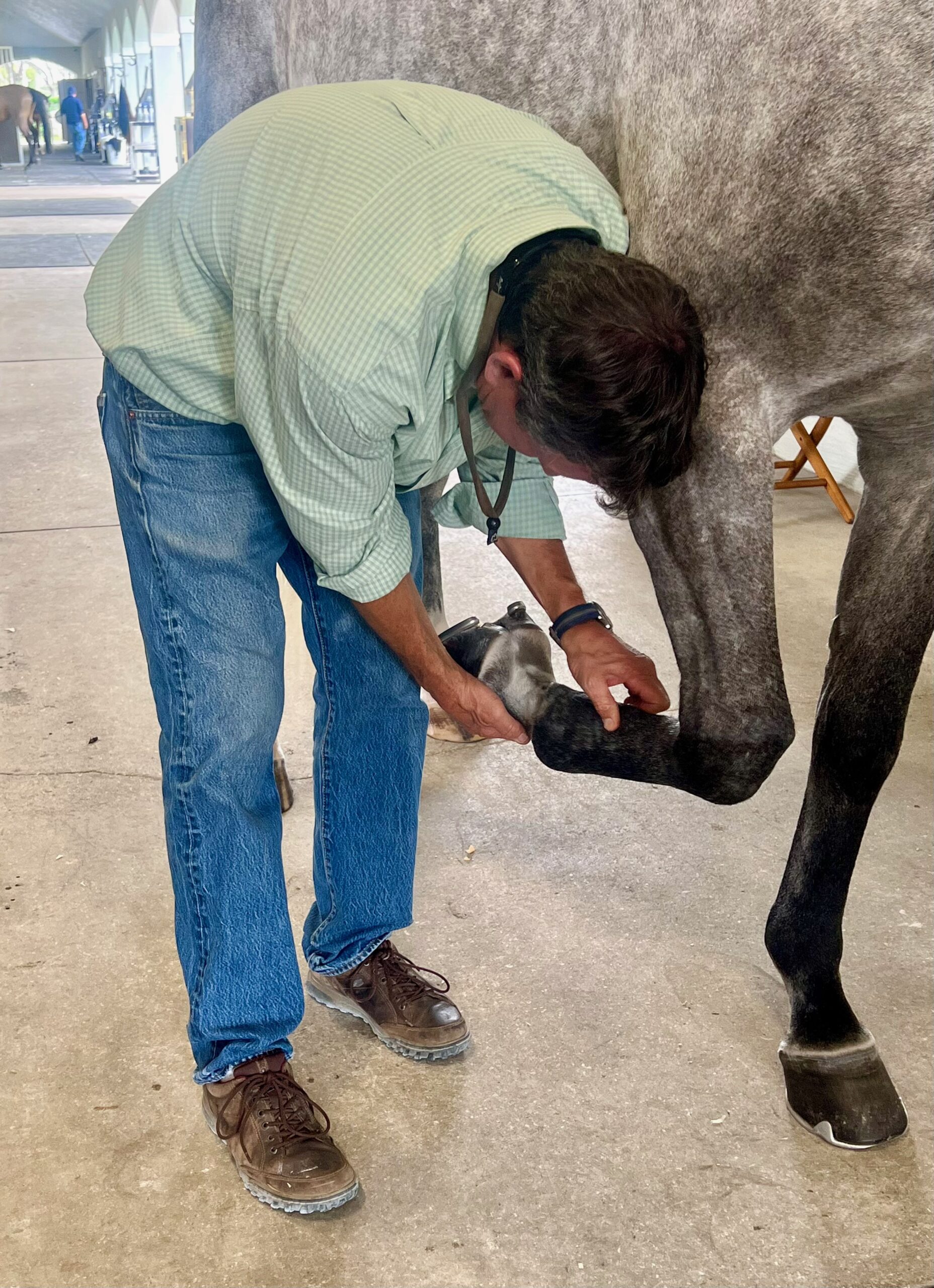 Demystifying The Equine Lameness Exam - horsegrooms.com