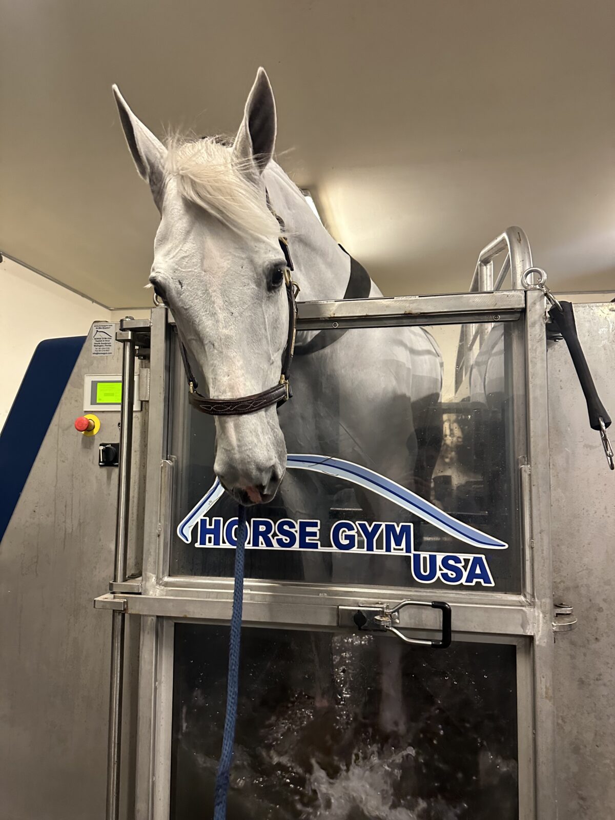 Step Inside The Barn With: Corentin Tual - horsegrooms.com