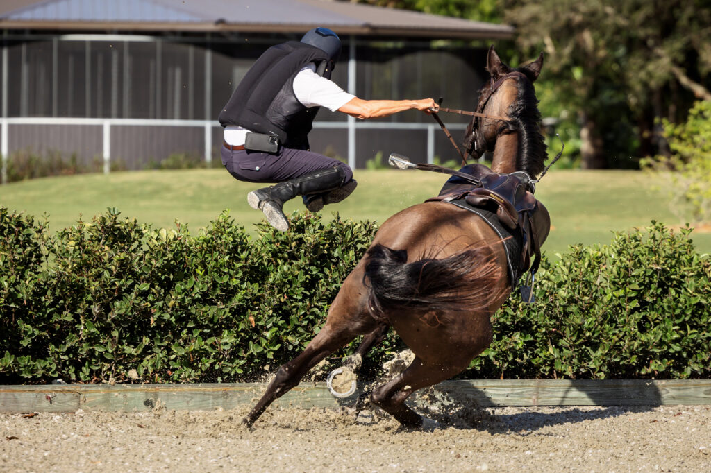 Protecting Your Passion: Why Self-Employed Grooms Need Proper Insurance ... Protecting Your Passion: Why Self-Employed Grooms Need Proper Insurance ...