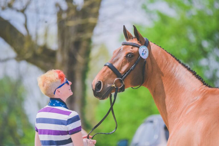 Meet The Contributor: Cat Hill - horsegrooms.com