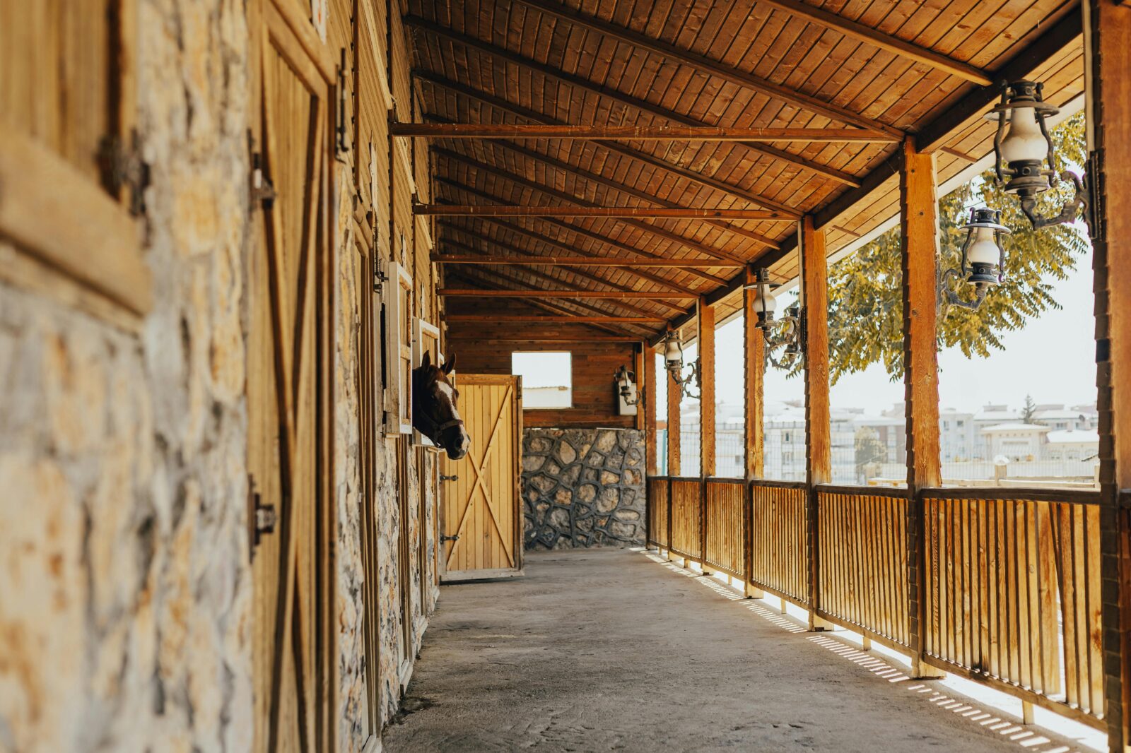 Tips for Managing Your Injured Horse on Stall Rest - horsegrooms.com