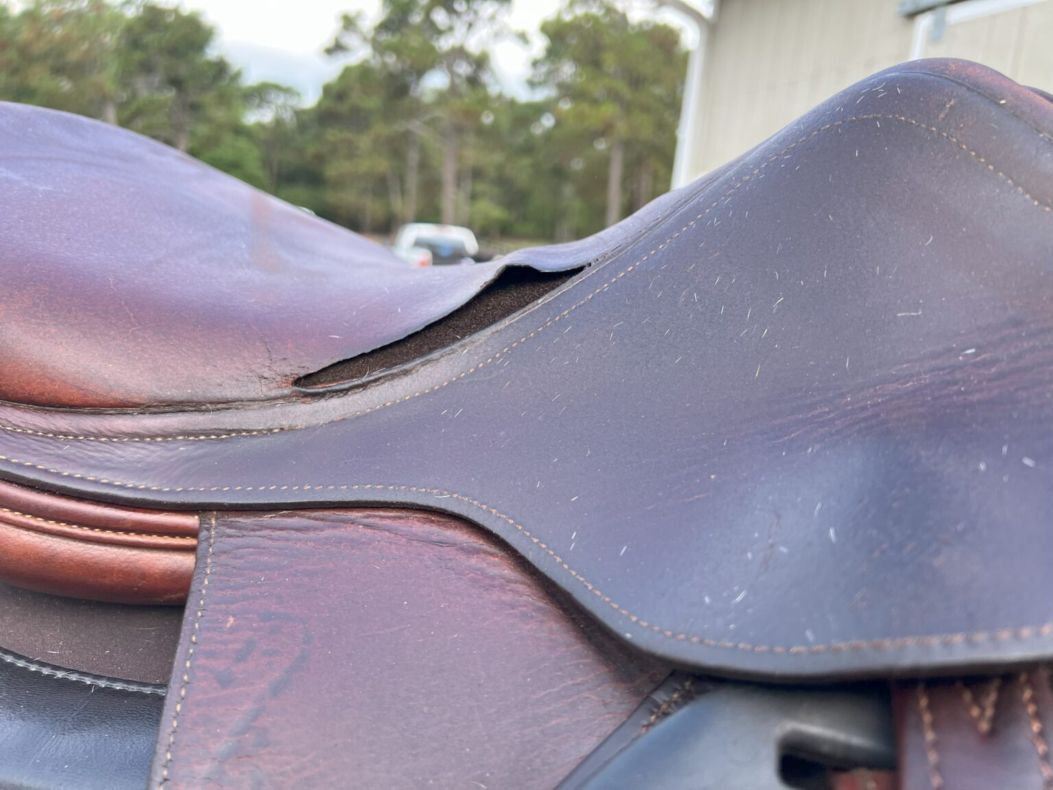 Saddle and Tack Care: Insights from a Saddler - horsegrooms.com
