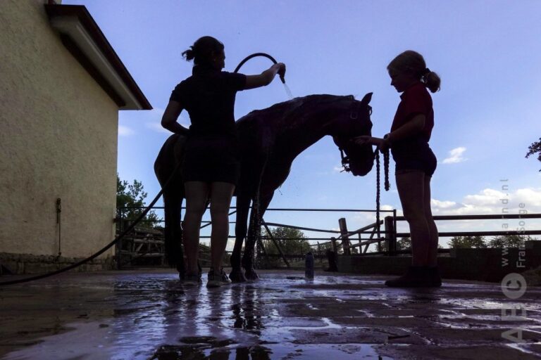 How to Train a New Groom - When No One Ever Showed You How ...